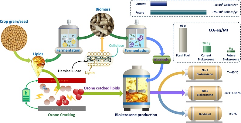 Sustainable biokerosene from lipids using efficient ozone cracking
